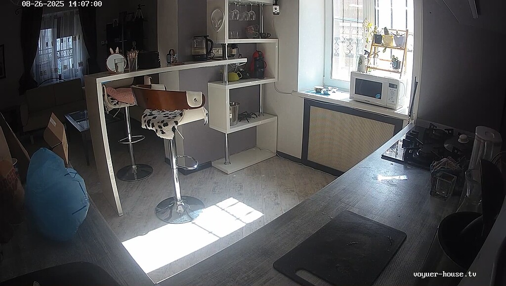 Shana - Page 220 - Archived Apartment Discussions - Voyeur House TV Forum